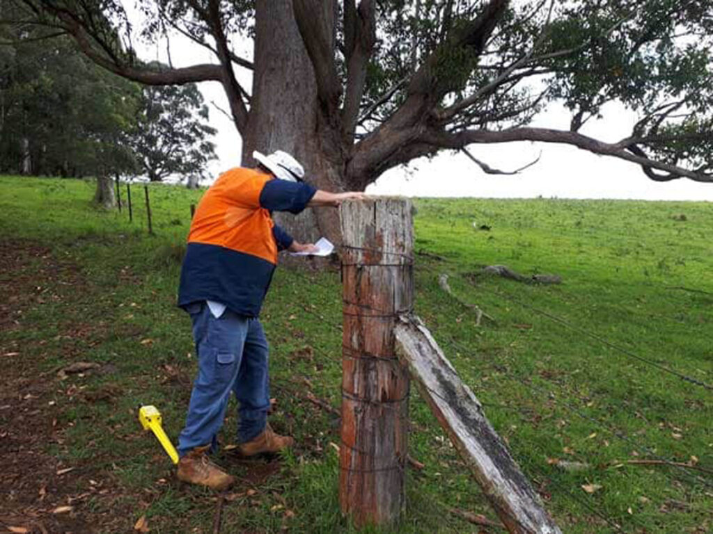 Property Boundaries & Identification Surveys - NKWP Surveyors